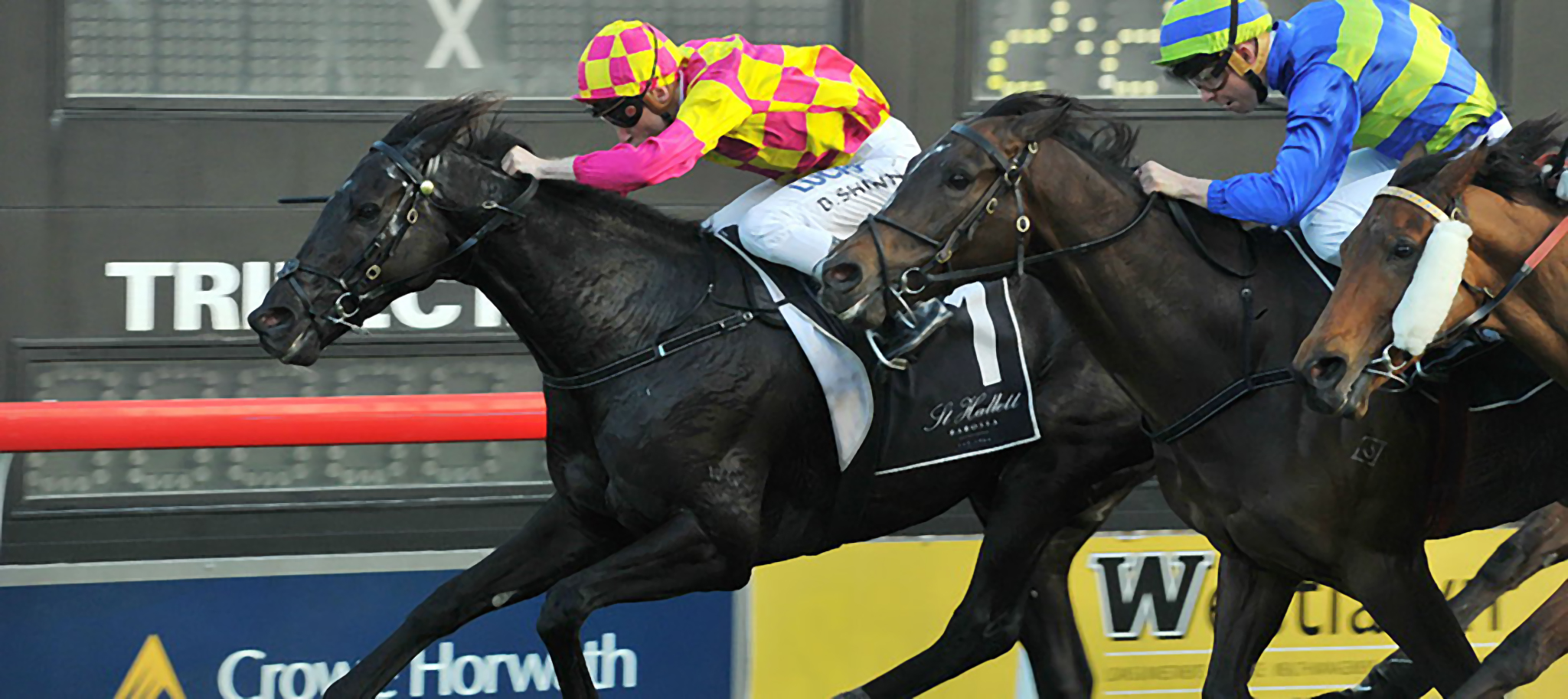 The Grafton July Racing Carnival - Clarence Valley