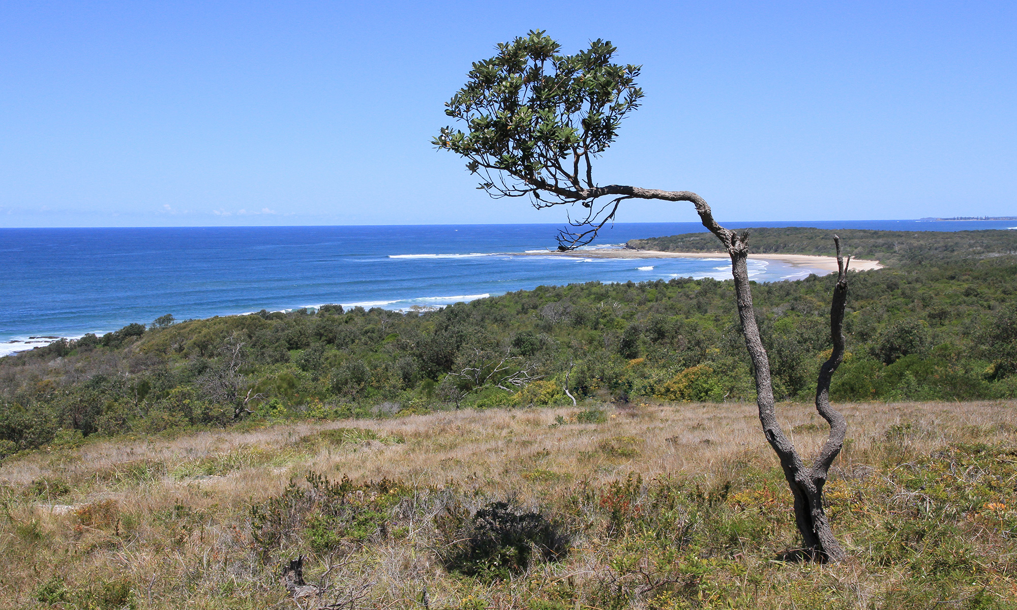 Stepping out, the Clarence Valley way - Clarence Valley