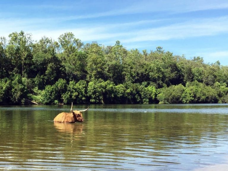 Copmanhurst Sport & Recreation Reserve - Clarence Valley