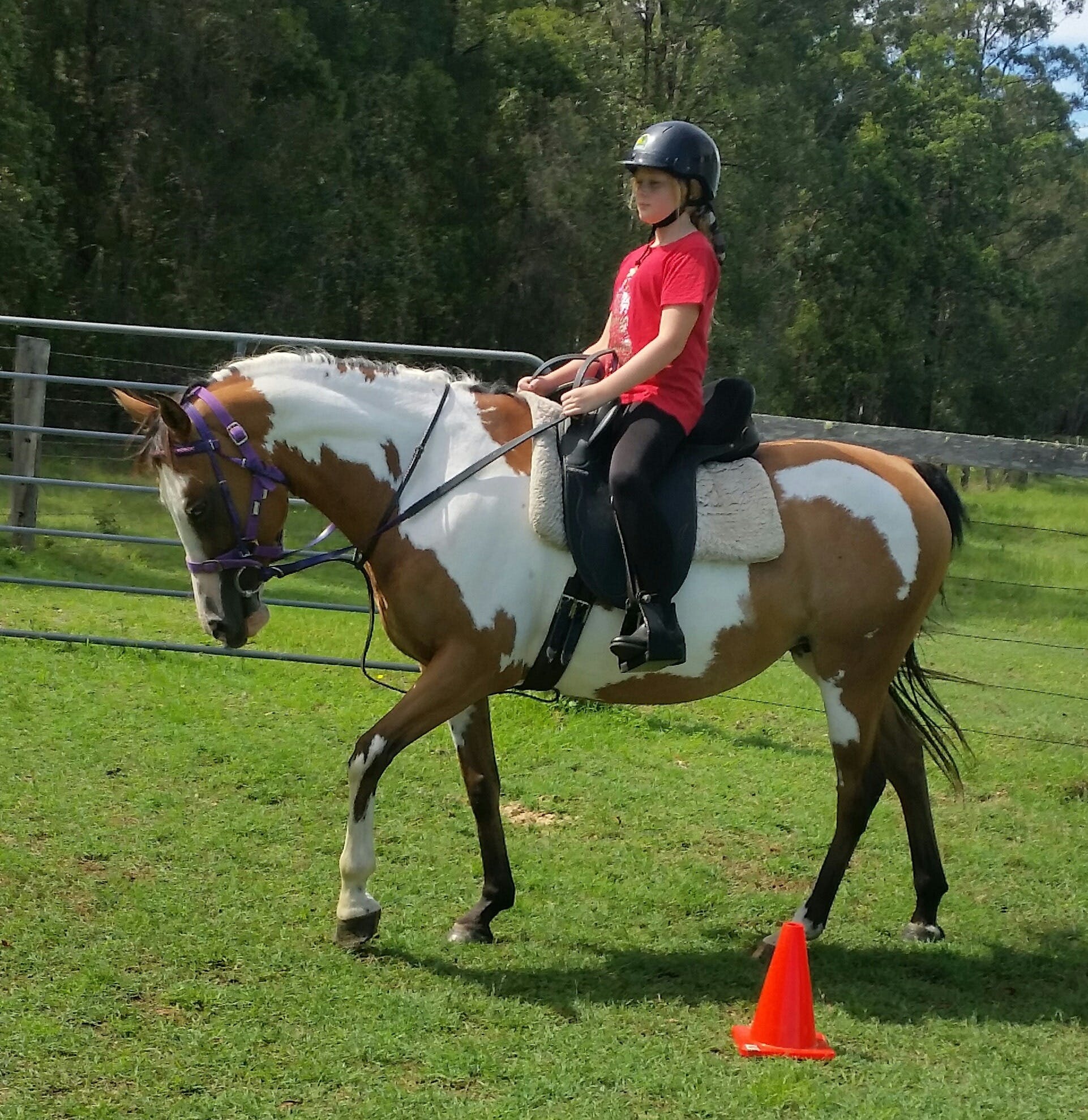 Pony Tales Riding Centre - Clarence Valley