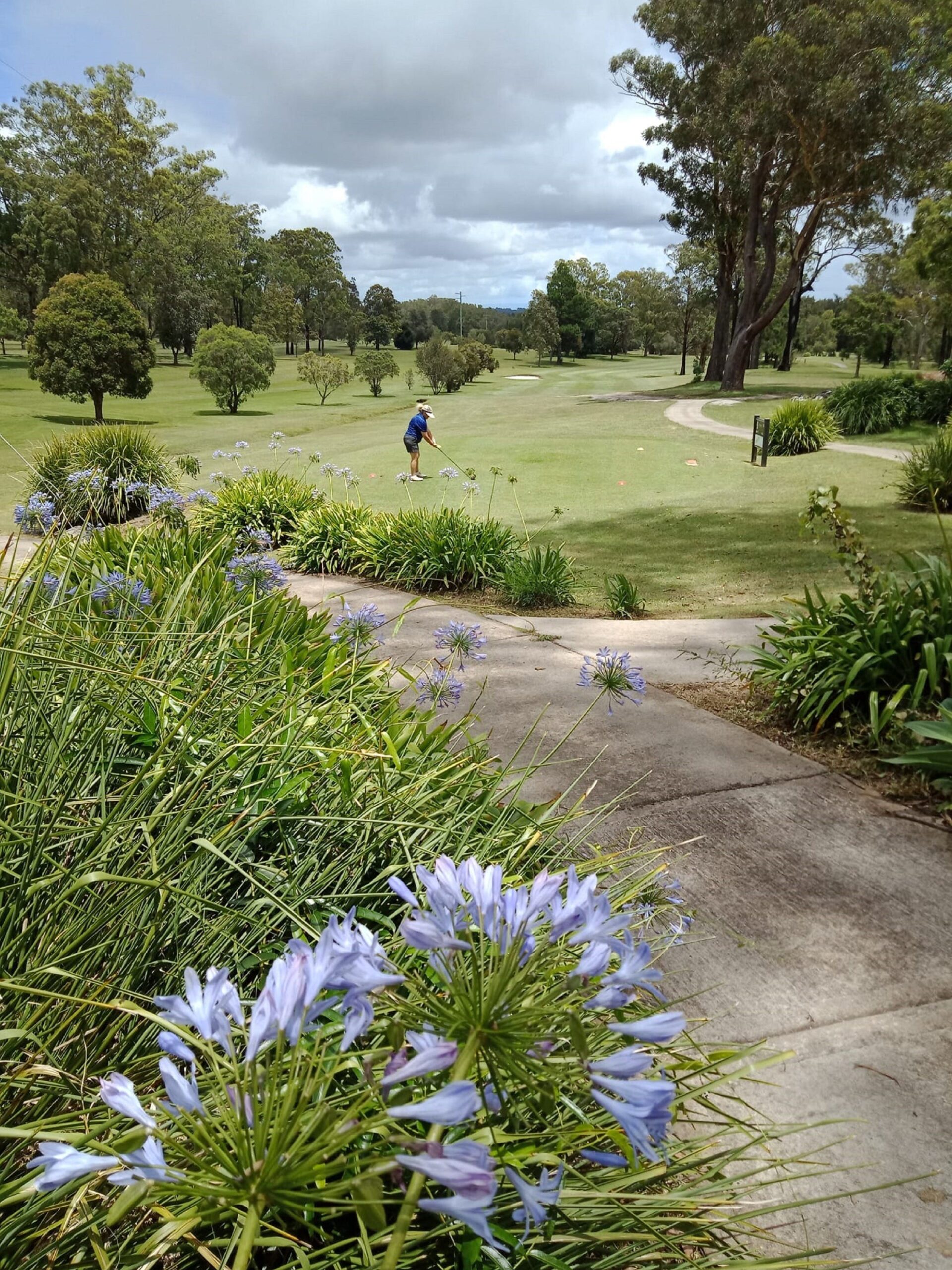 Maclean Golf Club - Clarence Valley